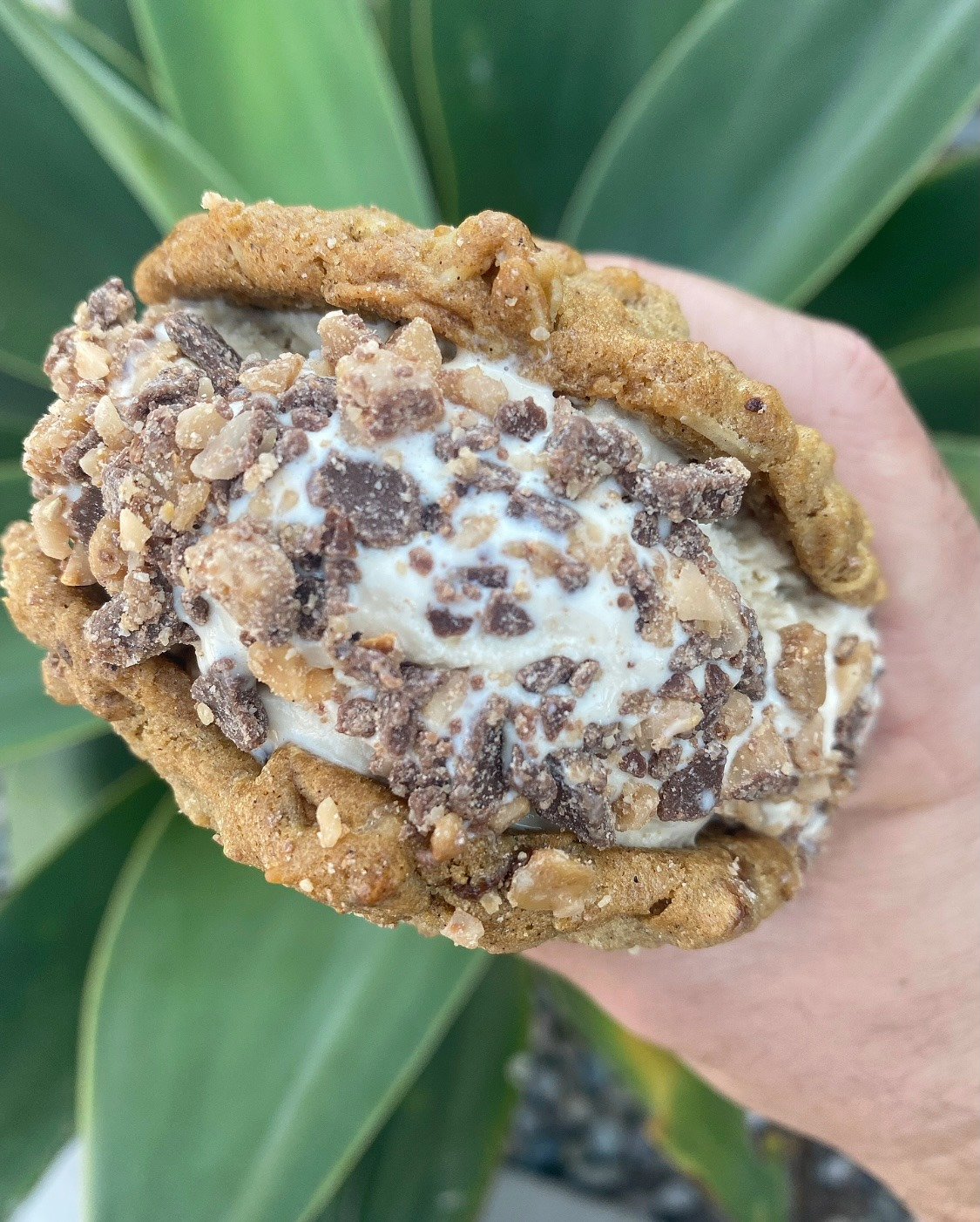 DISH OF THE WEEK (Sunday- 9/4/22- The Baked Bear- Sunrise) | Jeff Eats